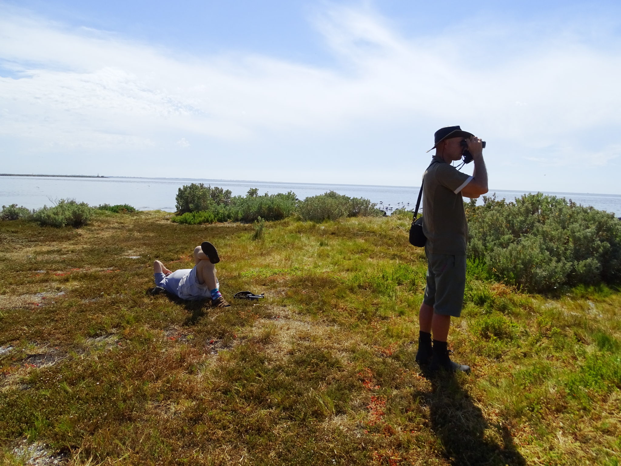 International Wader Study Group | » Tributes and remembrances page for ...