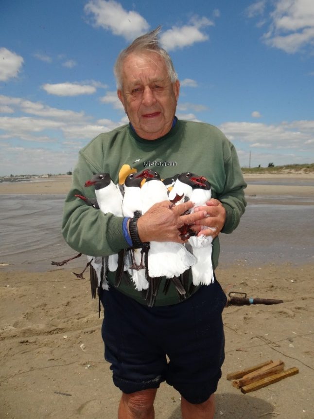 International Wader Study Group | » Tributes and remembrances page for ...