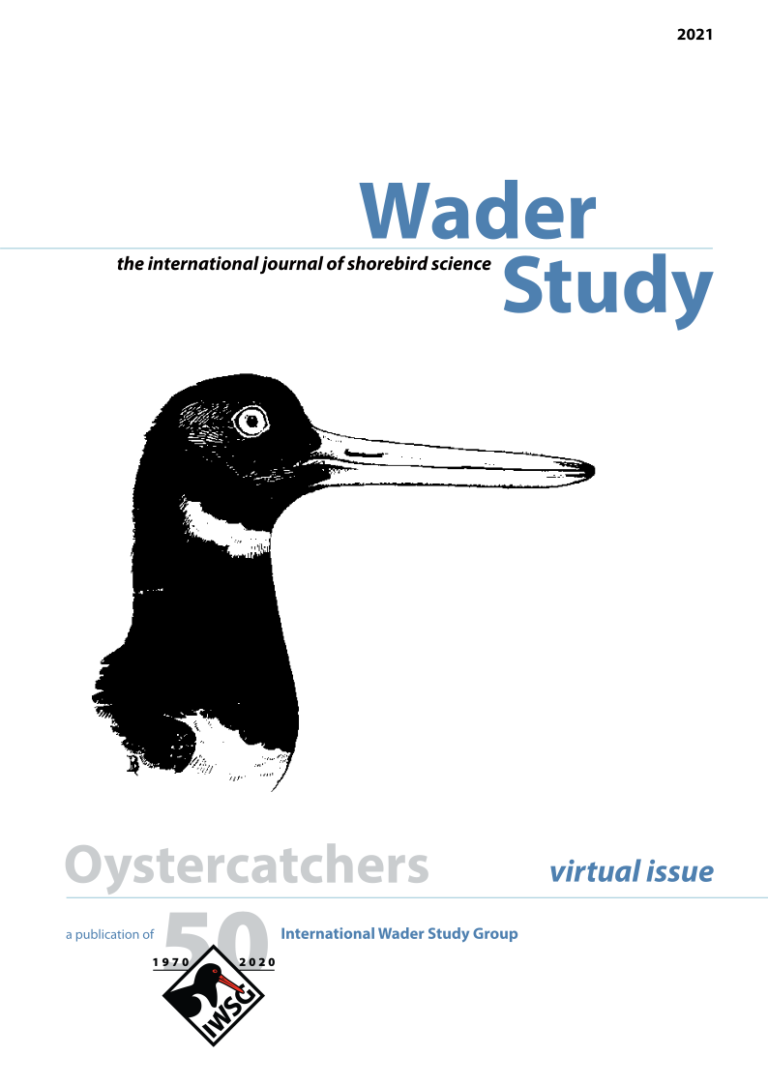 International Wader Study Group | » Wader Study