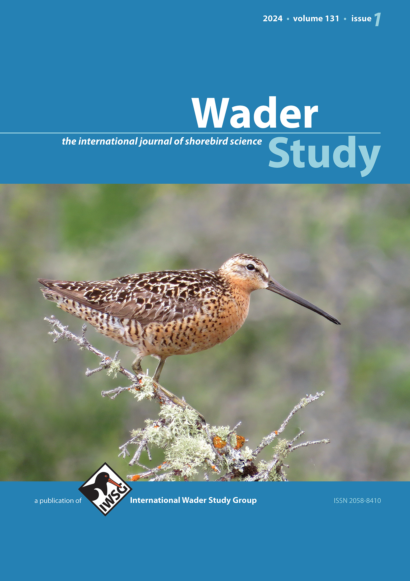 International Wader Study Group Wader Study